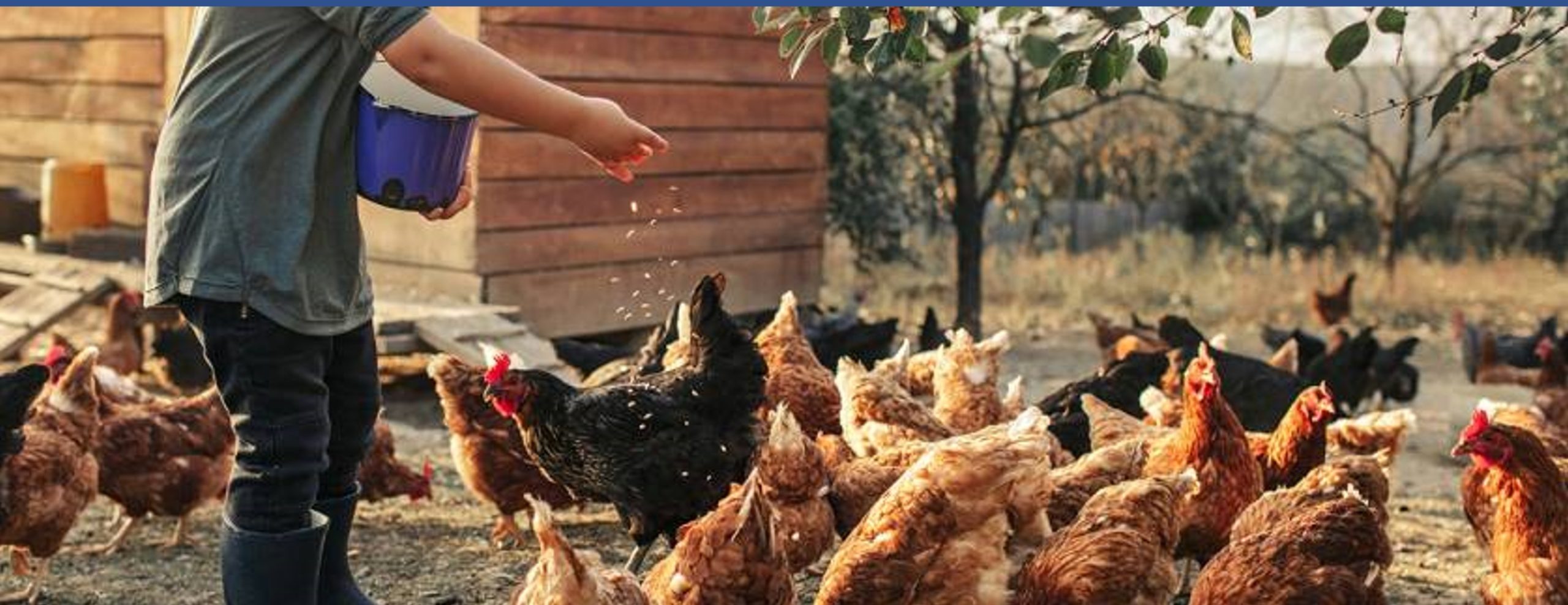 The Kinnard Homestead